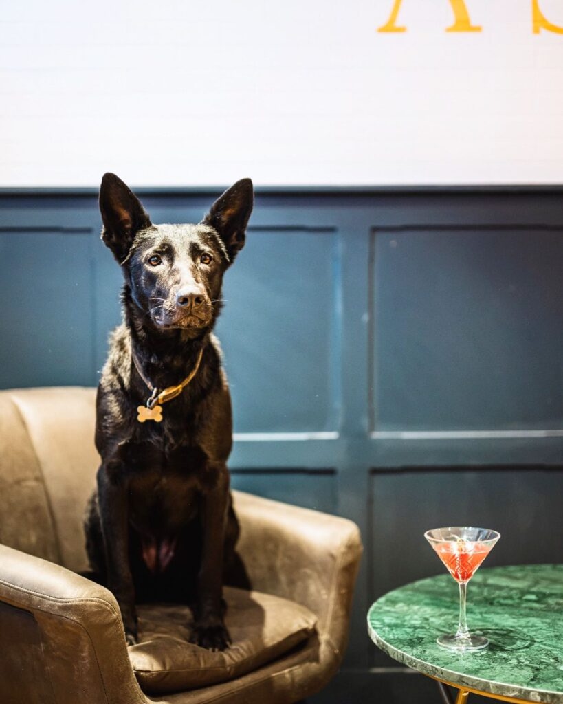 Newly opened Chester bar and restaurant allowing guests to bring their ...