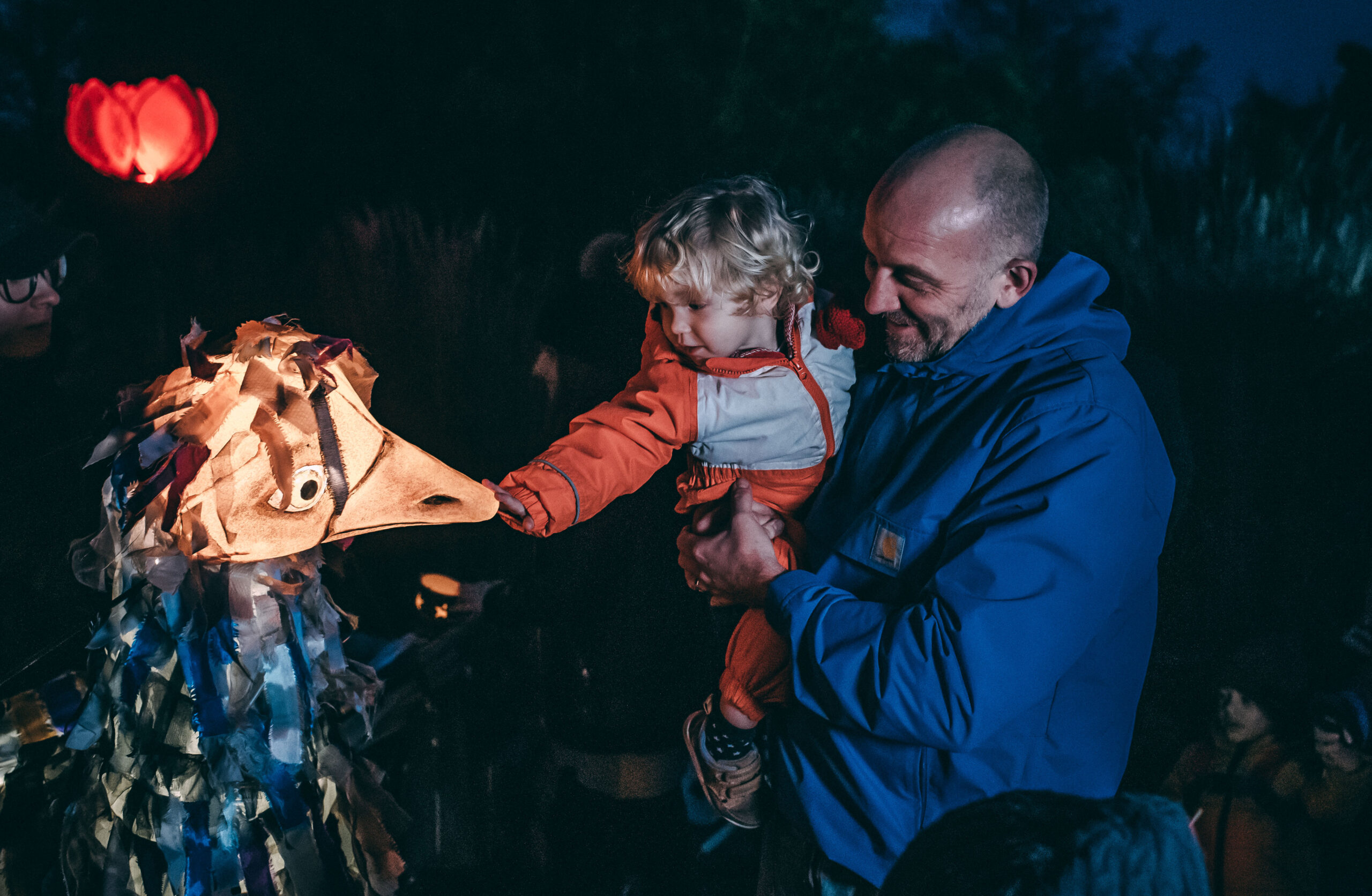 Discover Chester Zoo's Winter Lantern Celebrations and everything you ...